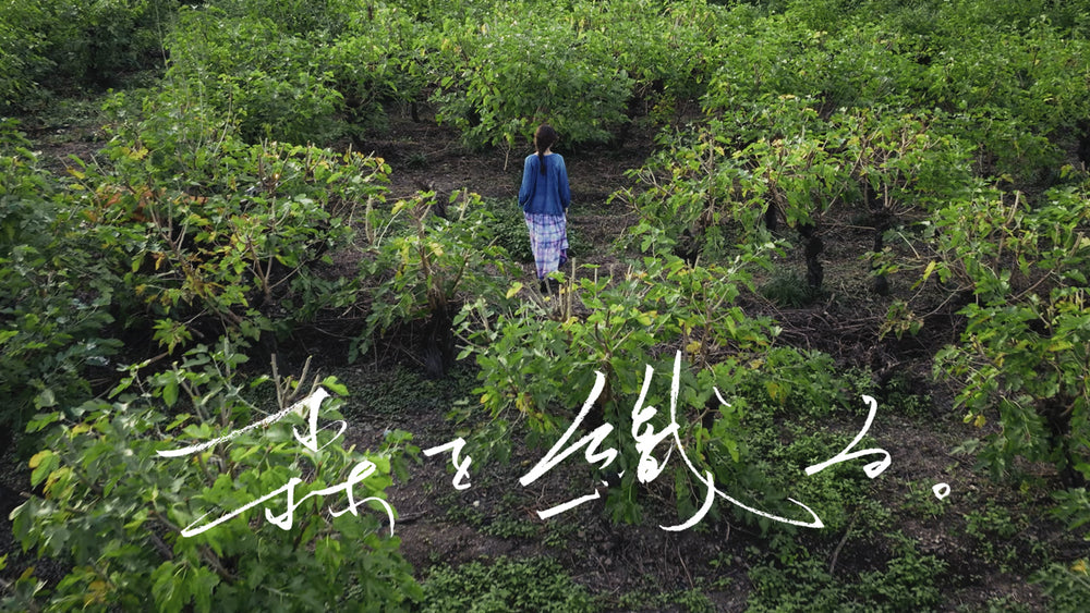 PROJECTS｜MORI WO ORU (森を織る)